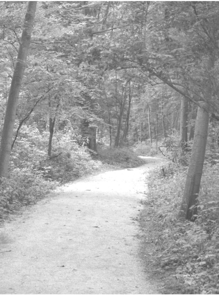 home pic | City of Pinconning